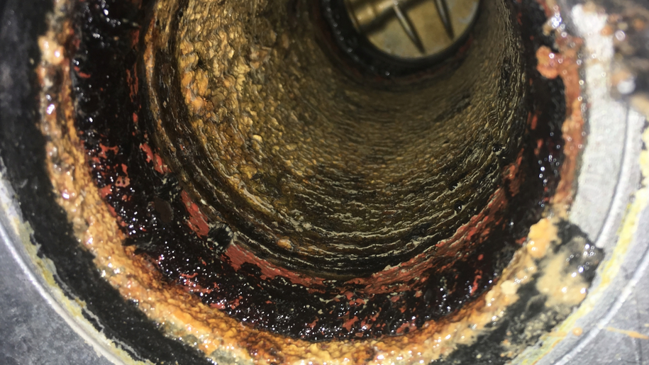 Accurate in-field evaluations of bacterial presence and activity ...